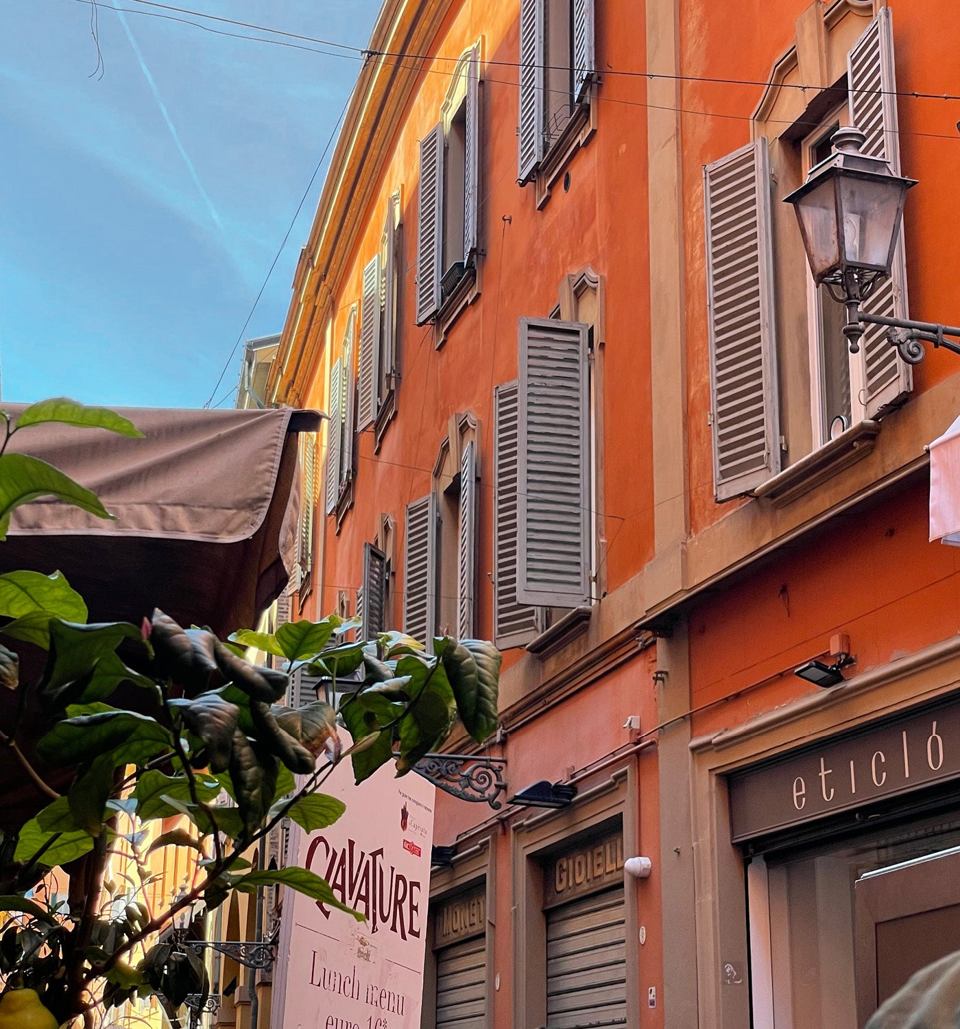 MOS MOSH® Official Online Shop - See the latest collection